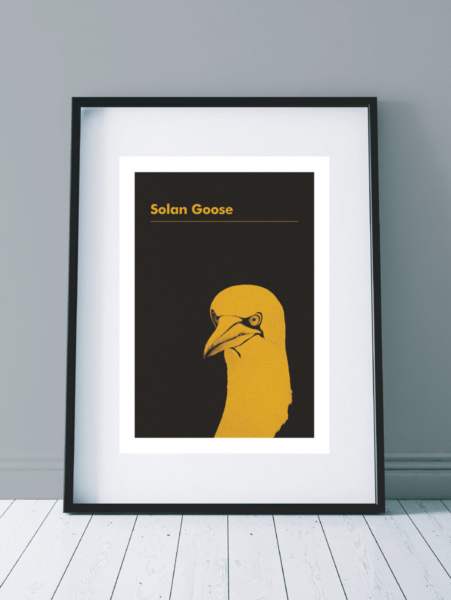Solan Goose 'Gannet' poster - LTD Edition of 100, hand numbered A2 ...