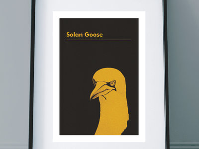 Solan Goose 'Gannet' poster - LTD Edition of 100, hand numbered A2 ...
