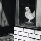 Exploding Trees & Airplane Screams | Patterson Hood