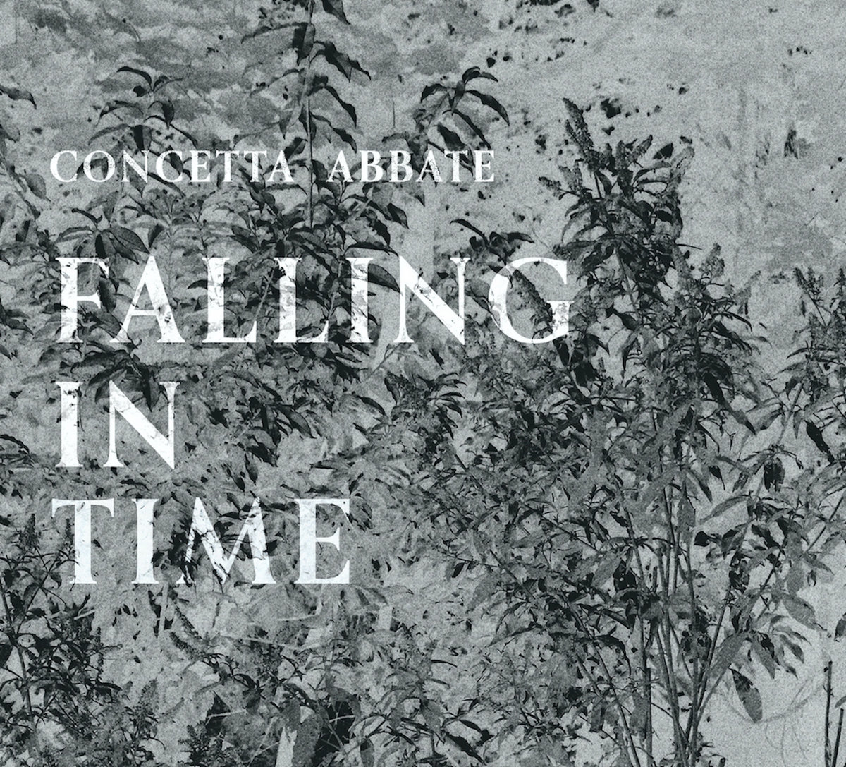 Falling in Time | Concetta Abbate