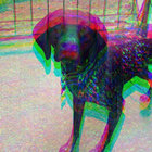 Psychic Lemon | Psychic Lemon