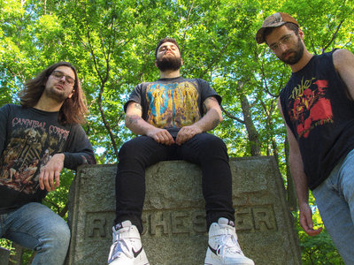 Artists | Maggot Stomp