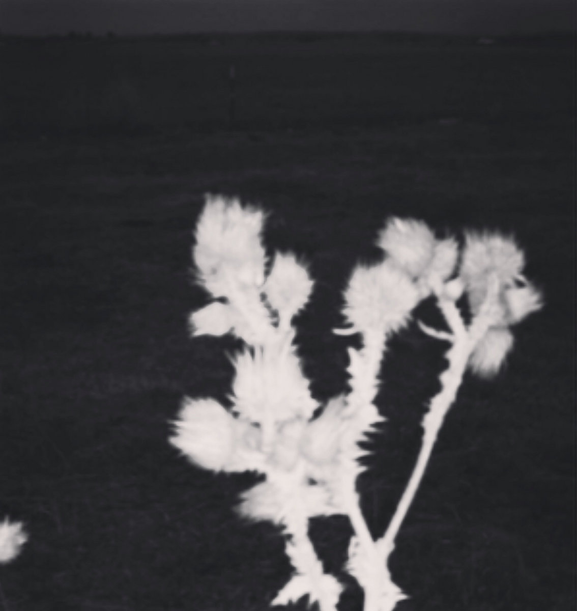 Scenes and Drones | Barrow Pit