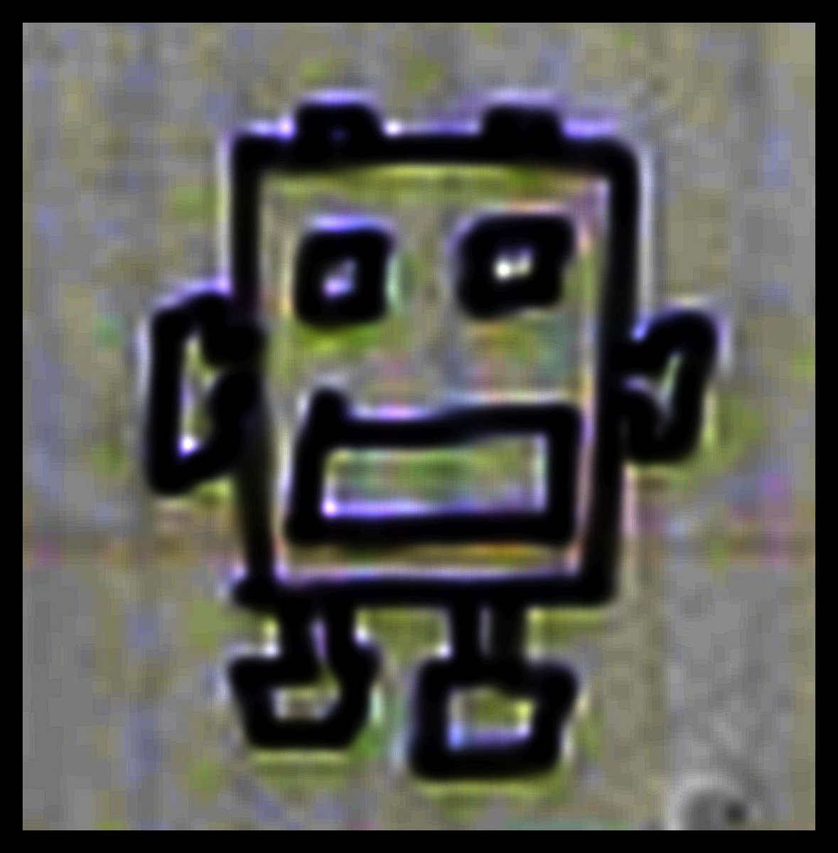 Tom Troccoli's Cat | Comfort Gatewood