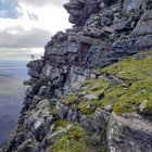 A I A : Alien Observer | Grouper