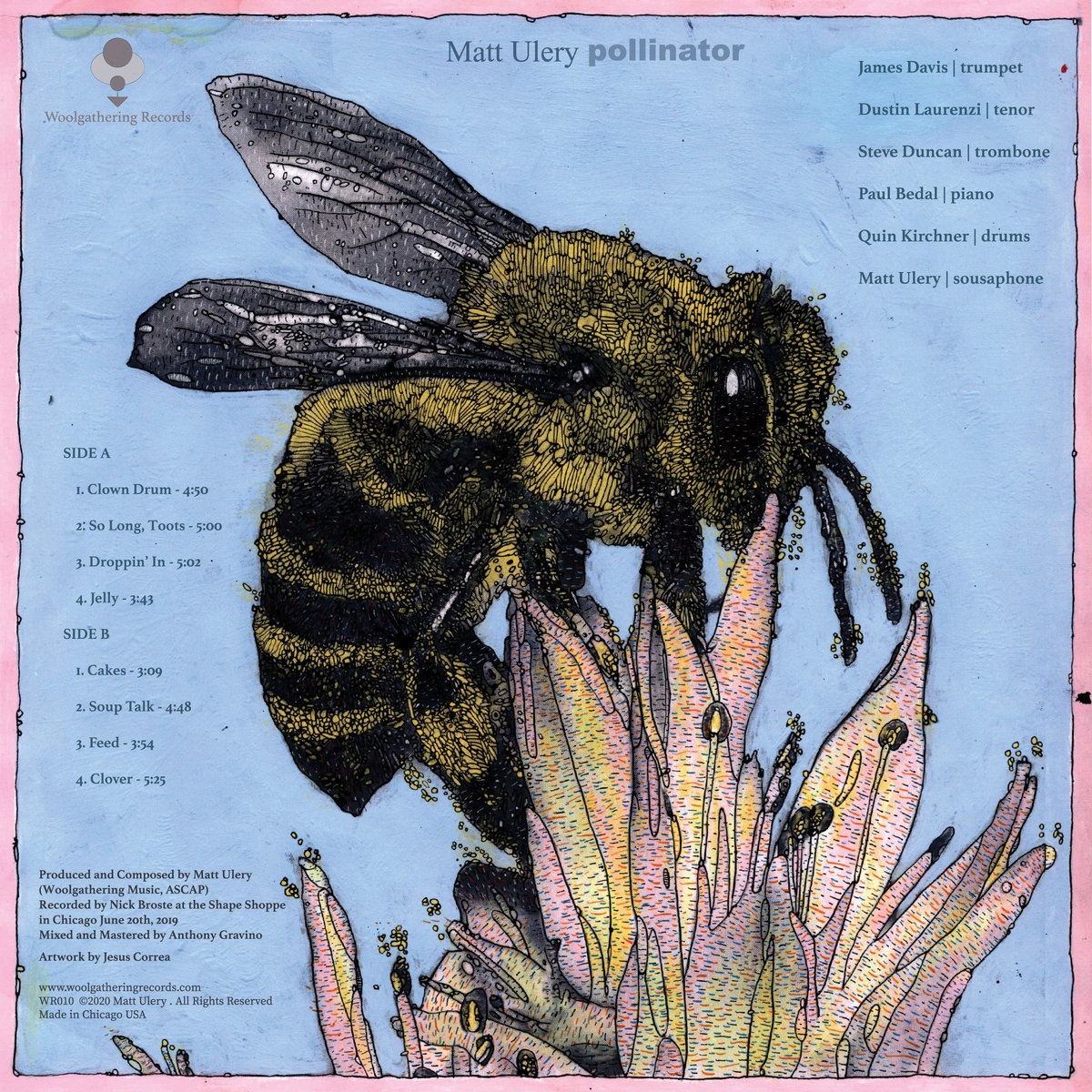 Pollinator | Matt Ulery | Woolgathering Records