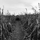 Merzbeat (Remastered) | Merzbow