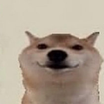 Subscribe to Shmu | Shmu