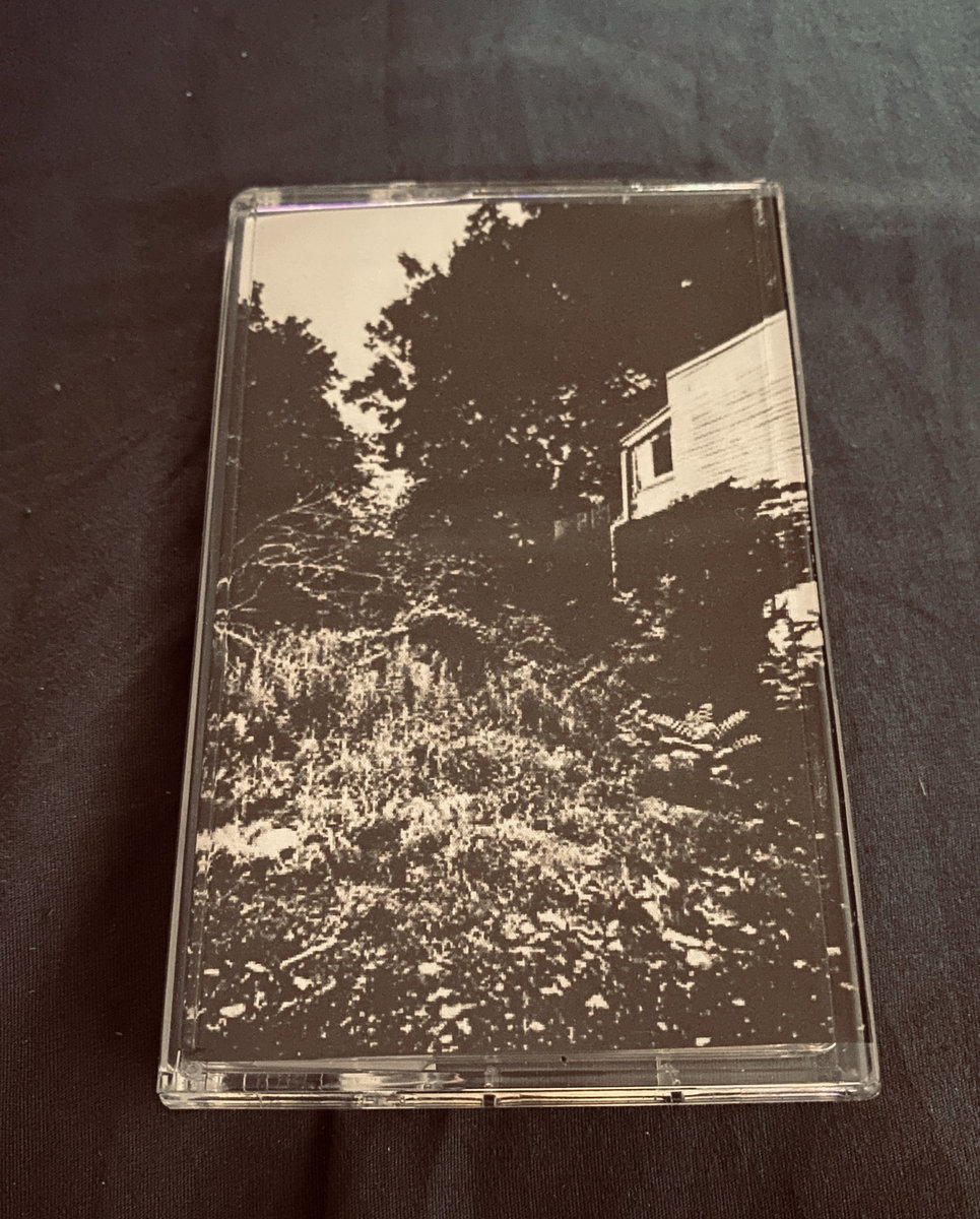 room with a view | Phantom Spire