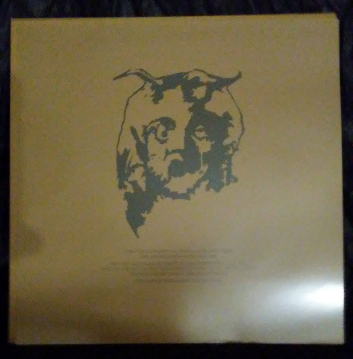 Lemuralia | Cemetery Lights