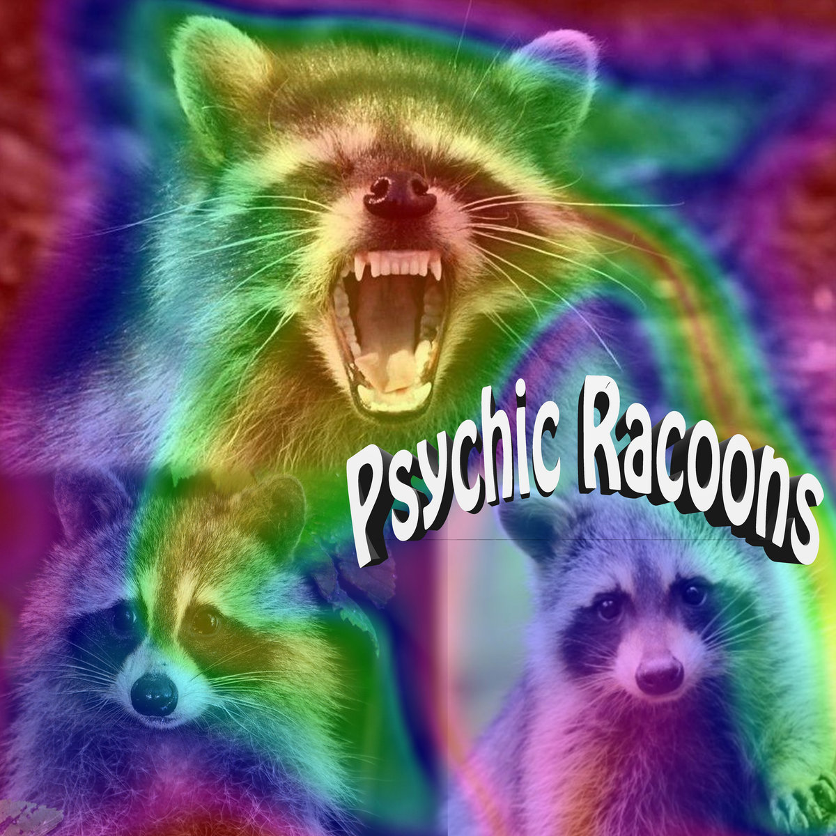 Floating Into Fall | Psychic Racoons