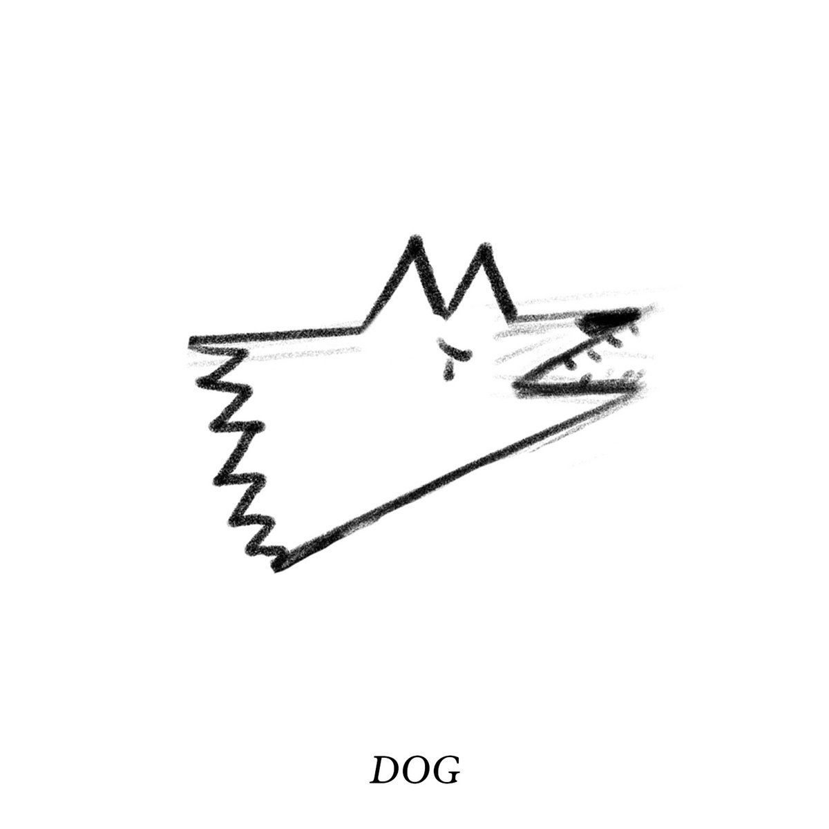 HOLOGRAM CHARIZARD | Sheppo