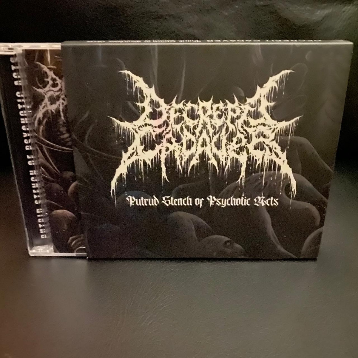 Putrid Stench Of Psychotic Acts | Decrepit Cadaver