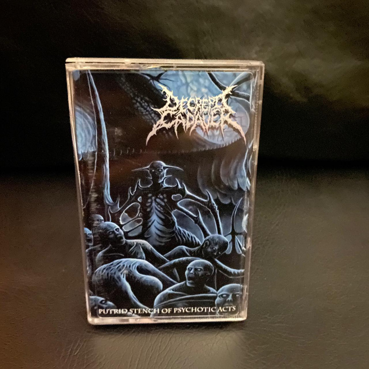 Putrid Stench Of Psychotic Acts | Decrepit Cadaver