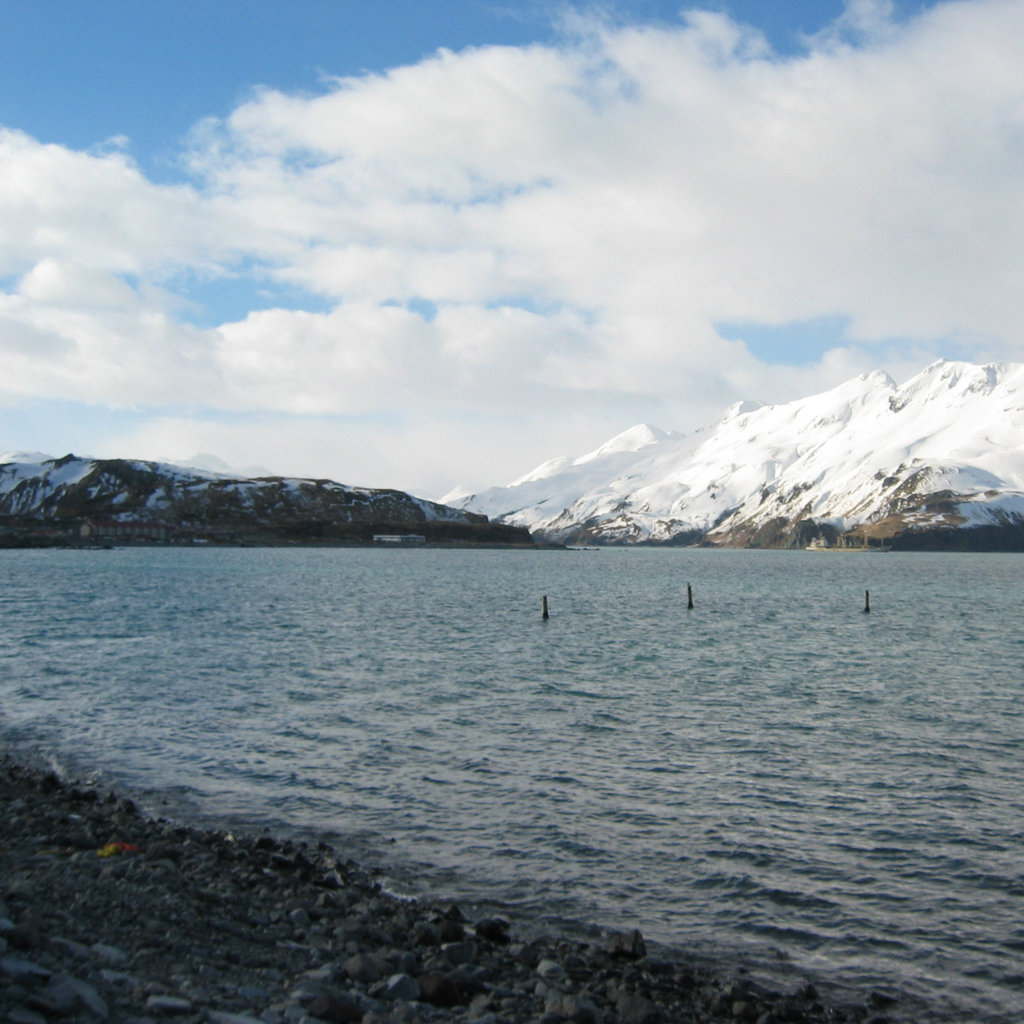 tomp's collection | Bandcamp