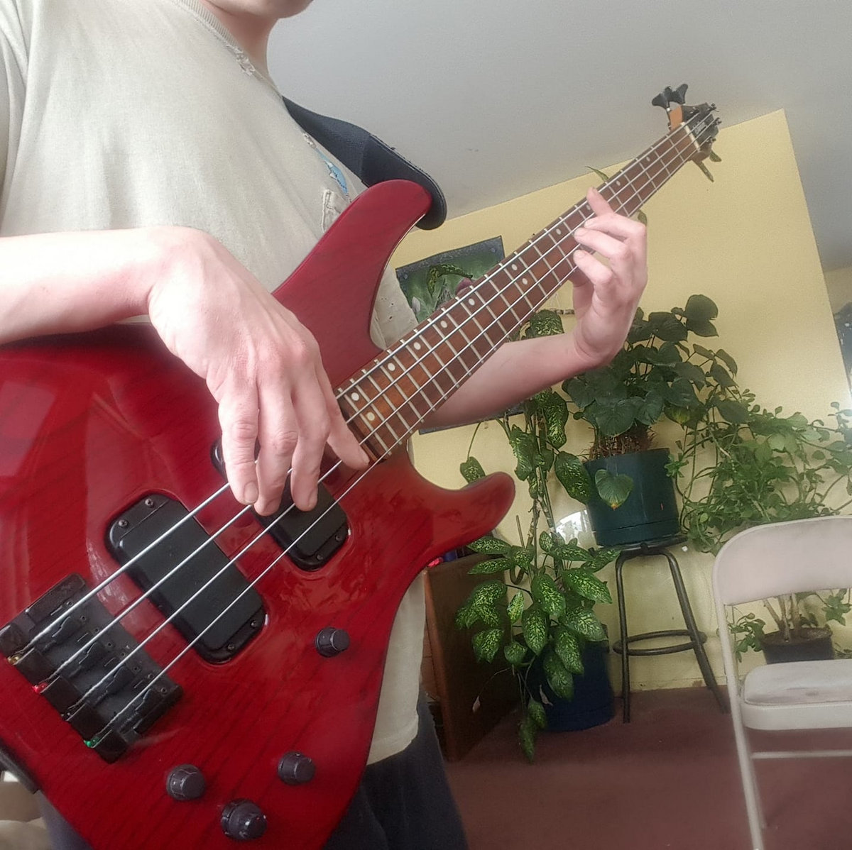 Forget-me-not | Jay Valentine