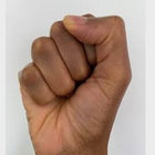 Day Fleit / Nite Fleit | Nite Fleit