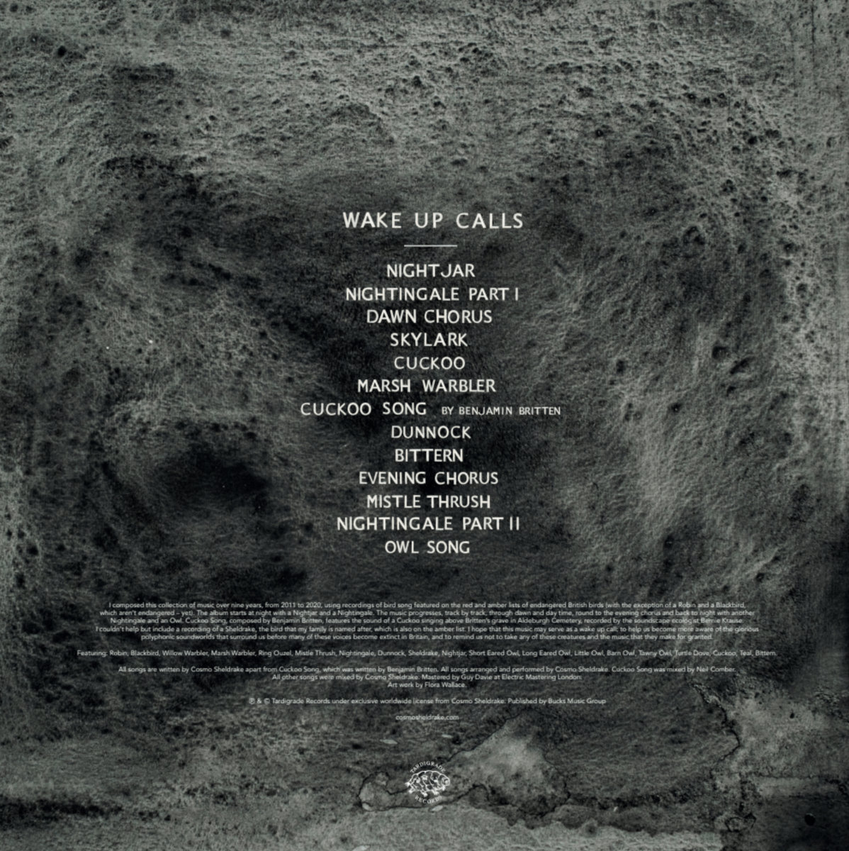 Wake Up Calls | Cosmo Sheldrake