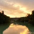 beets 4 | Birocratic