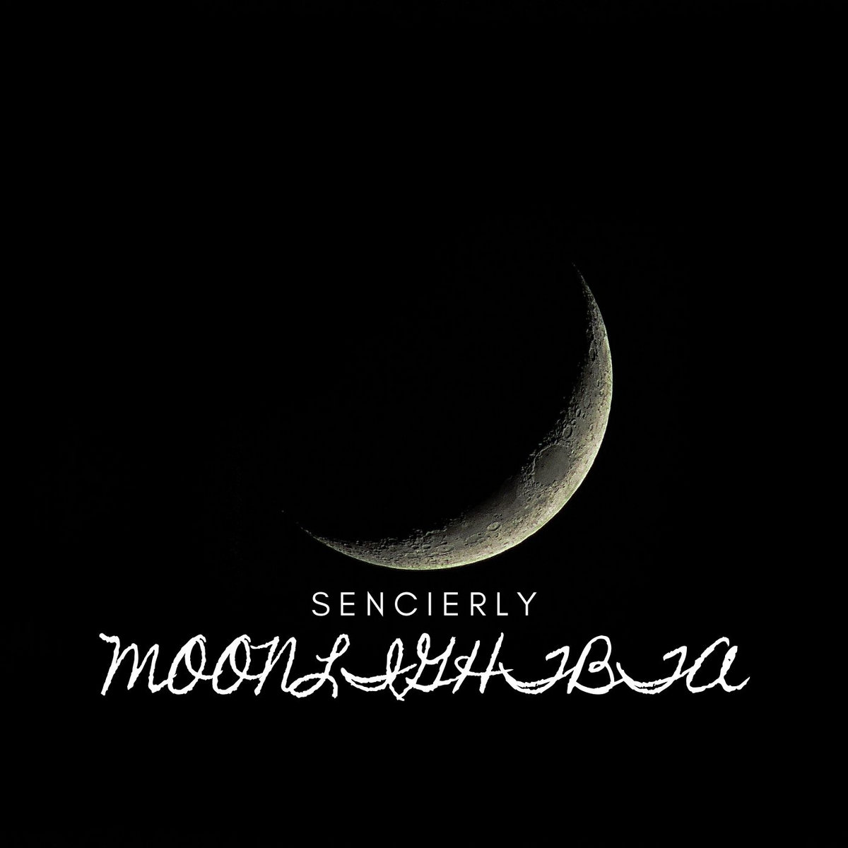 NOT REPLACEABLE | MOONLIGHTBTA