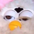 Identity Sequence | zircon