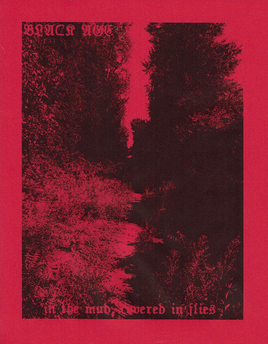 In the Mud, Covered in Flies | Black Age | Phantom Spire