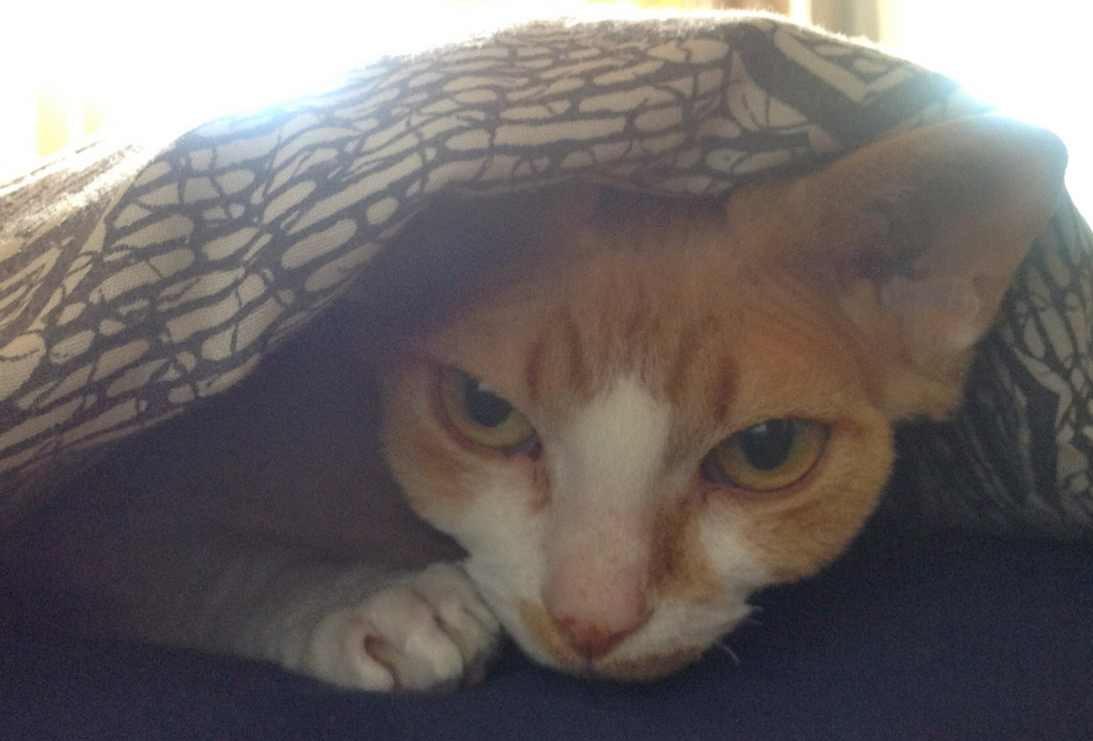 The Well-Permuted Clavier, Volume 3 | Jim Arlow