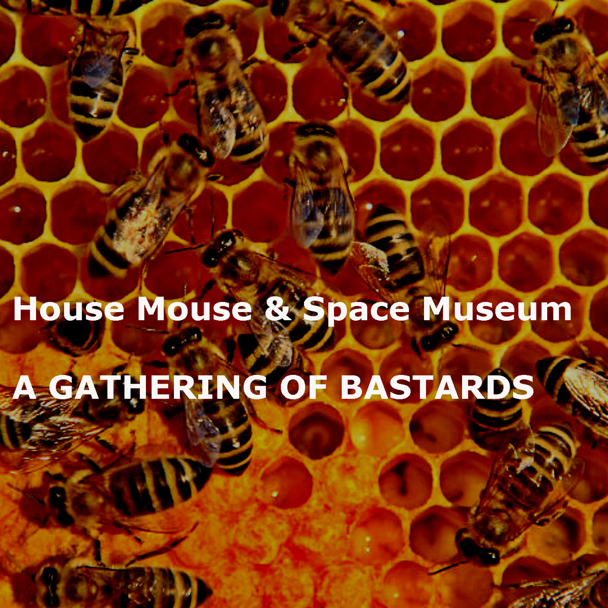 The Mouse Museum | House Mouse & Space Museum
