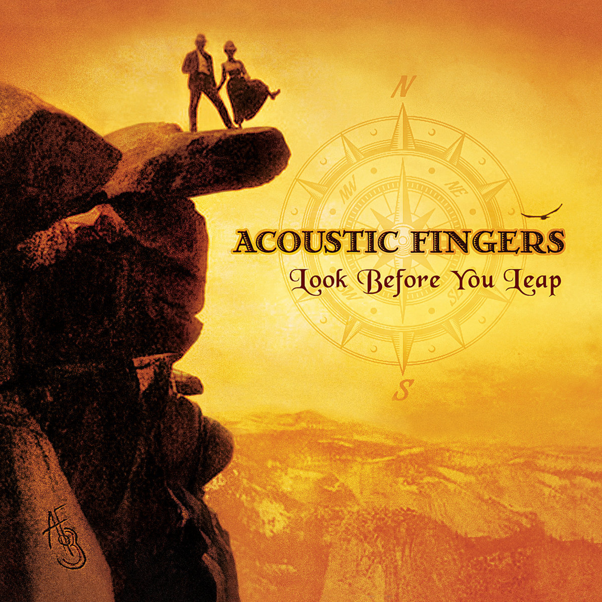 Look Before You Leap | Acoustic Fingers | Rob Roush