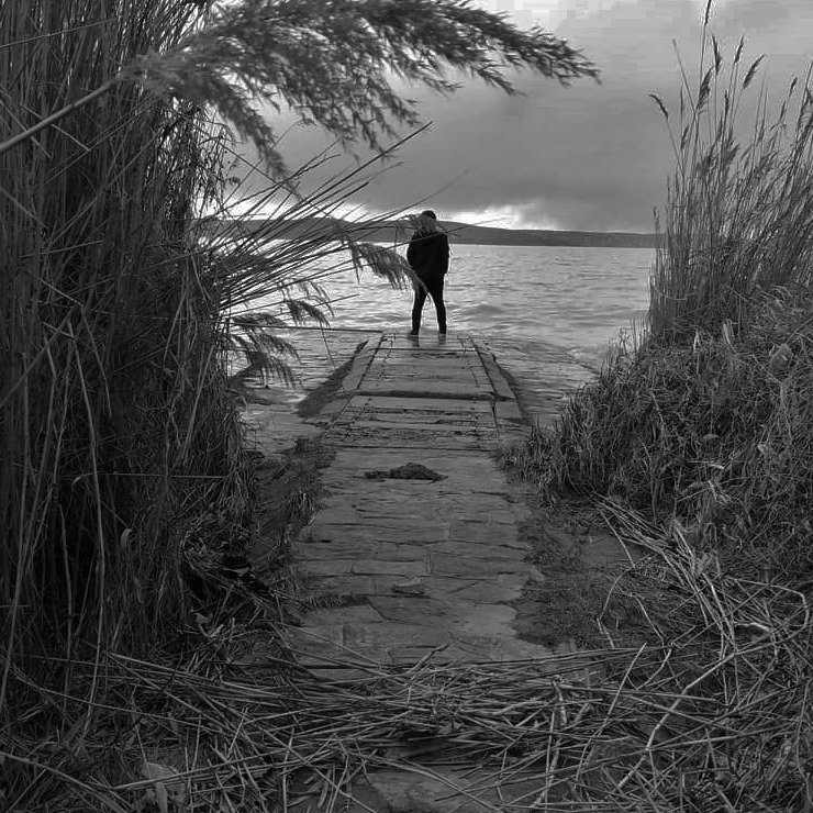 Voluntary Exile | FROGKING | Frogking