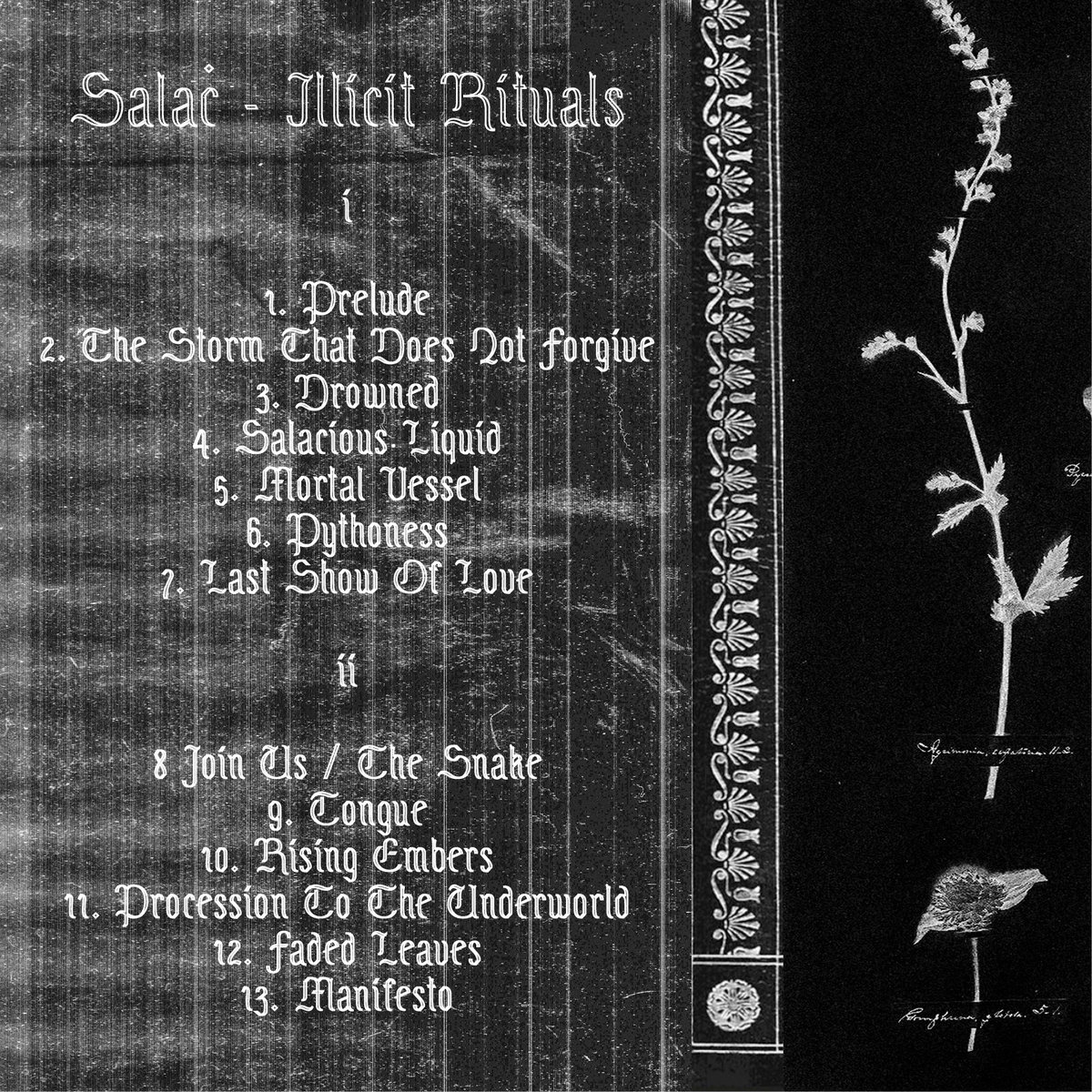 Illicit Rituals | Salac