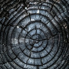 Existential Void Guardian | Conan