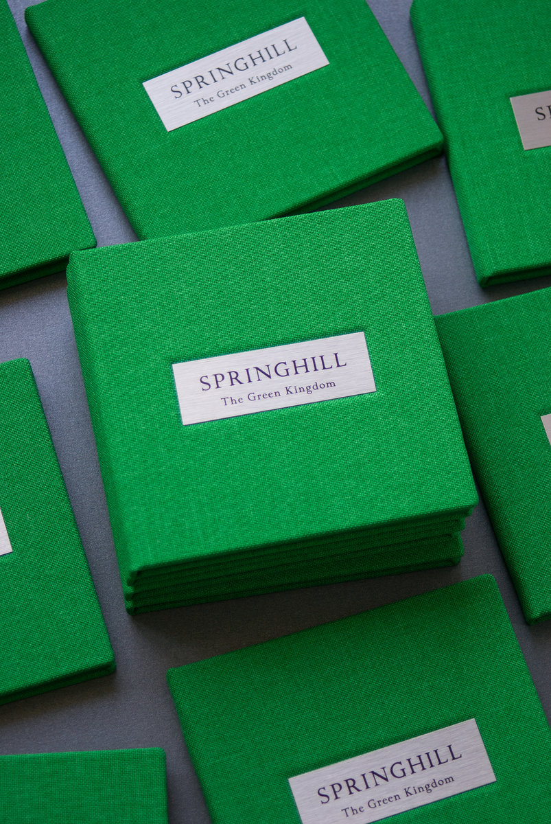 Springhill | The Green Kingdom | Hidden Vibes