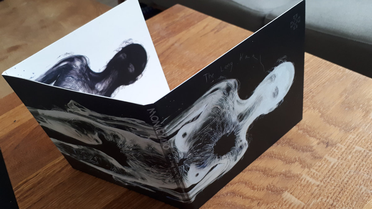 The Long Haul of Cercopithecoidea | Monkey Okay