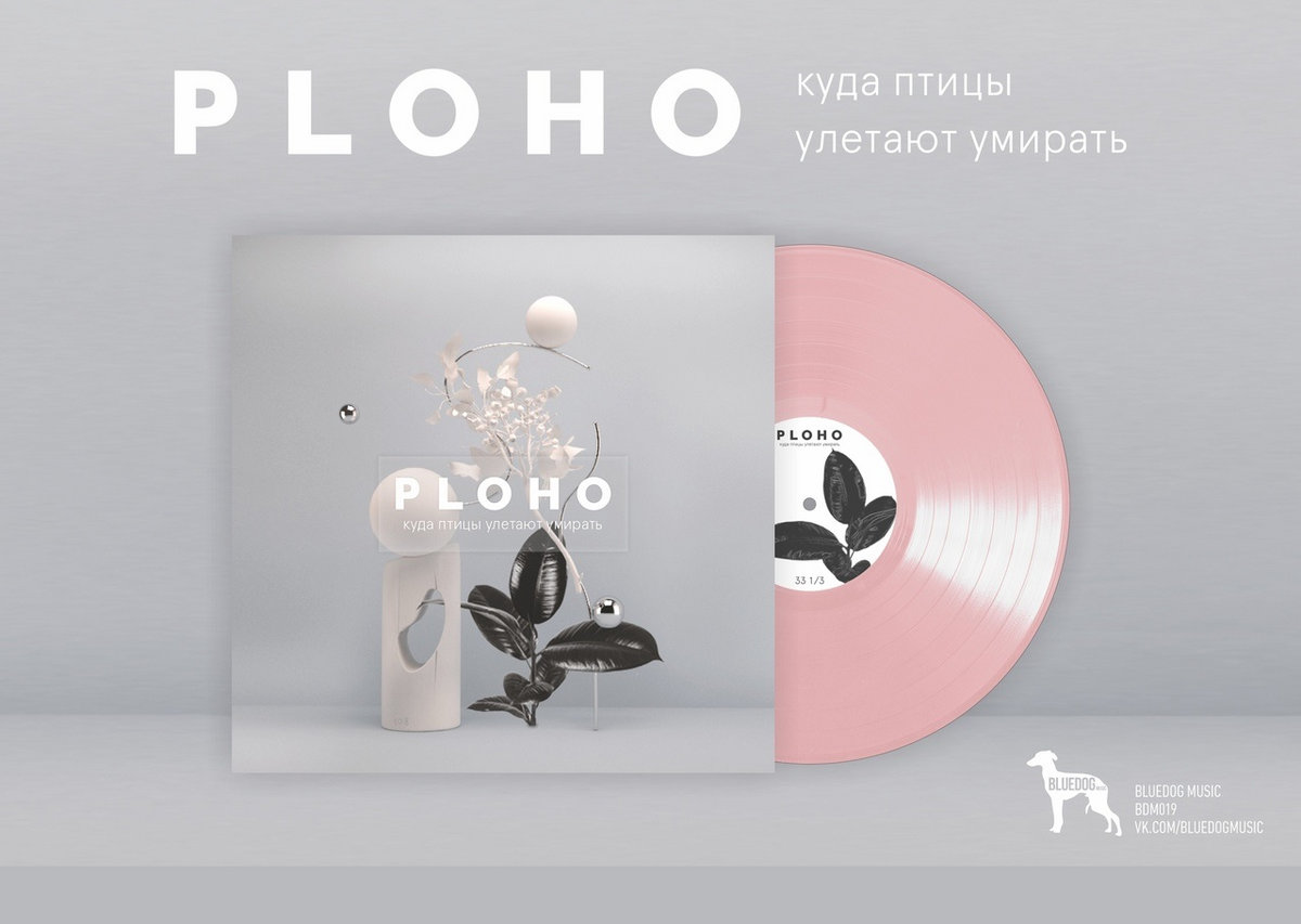 Куда птицы улетают умирать | Ploho