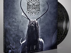 LIFA | Heilung