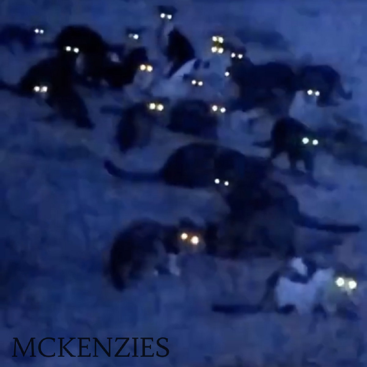 FOGBANK (demo 30/05/2020) | Mckenzies