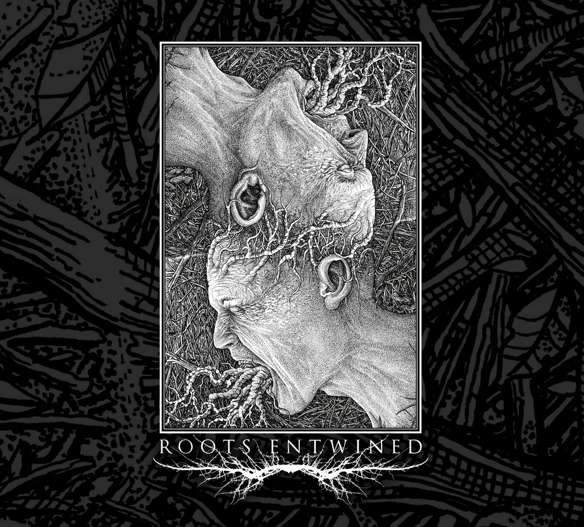 Roots Entwined | Roots Entwined
