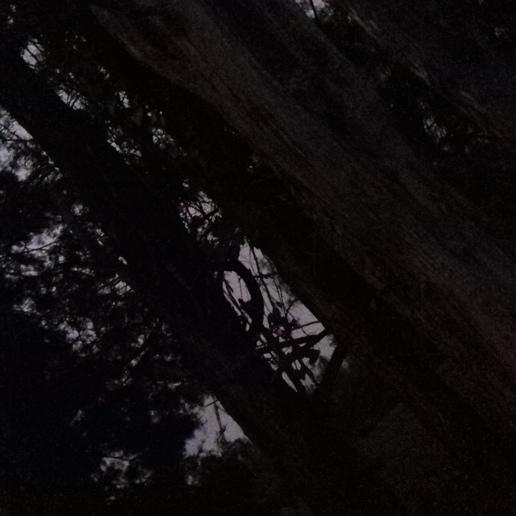 murray_ostril's collection | Bandcamp