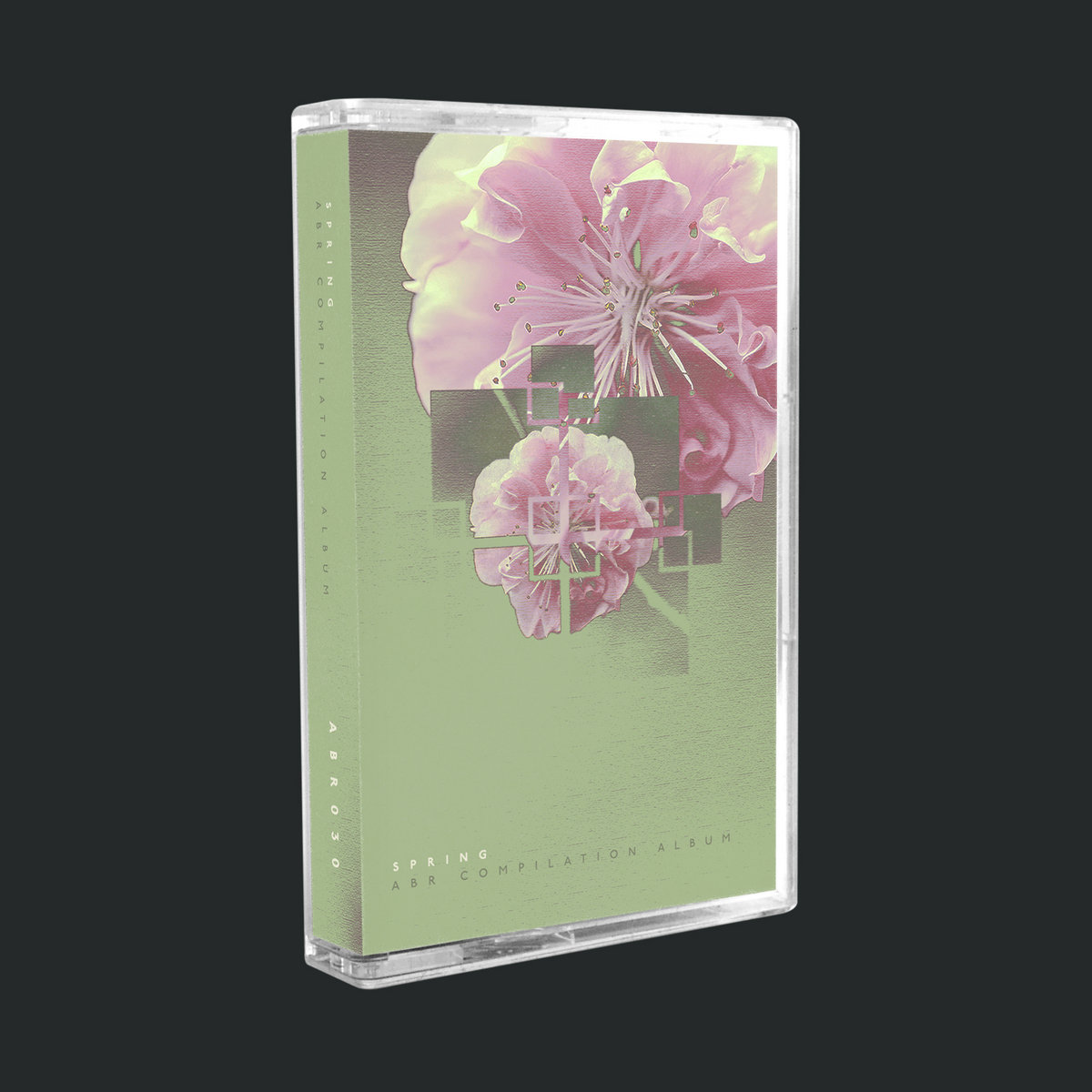 Spring Compilation Album | Aviary Bridge Records