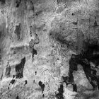 Tripper | Efterklang