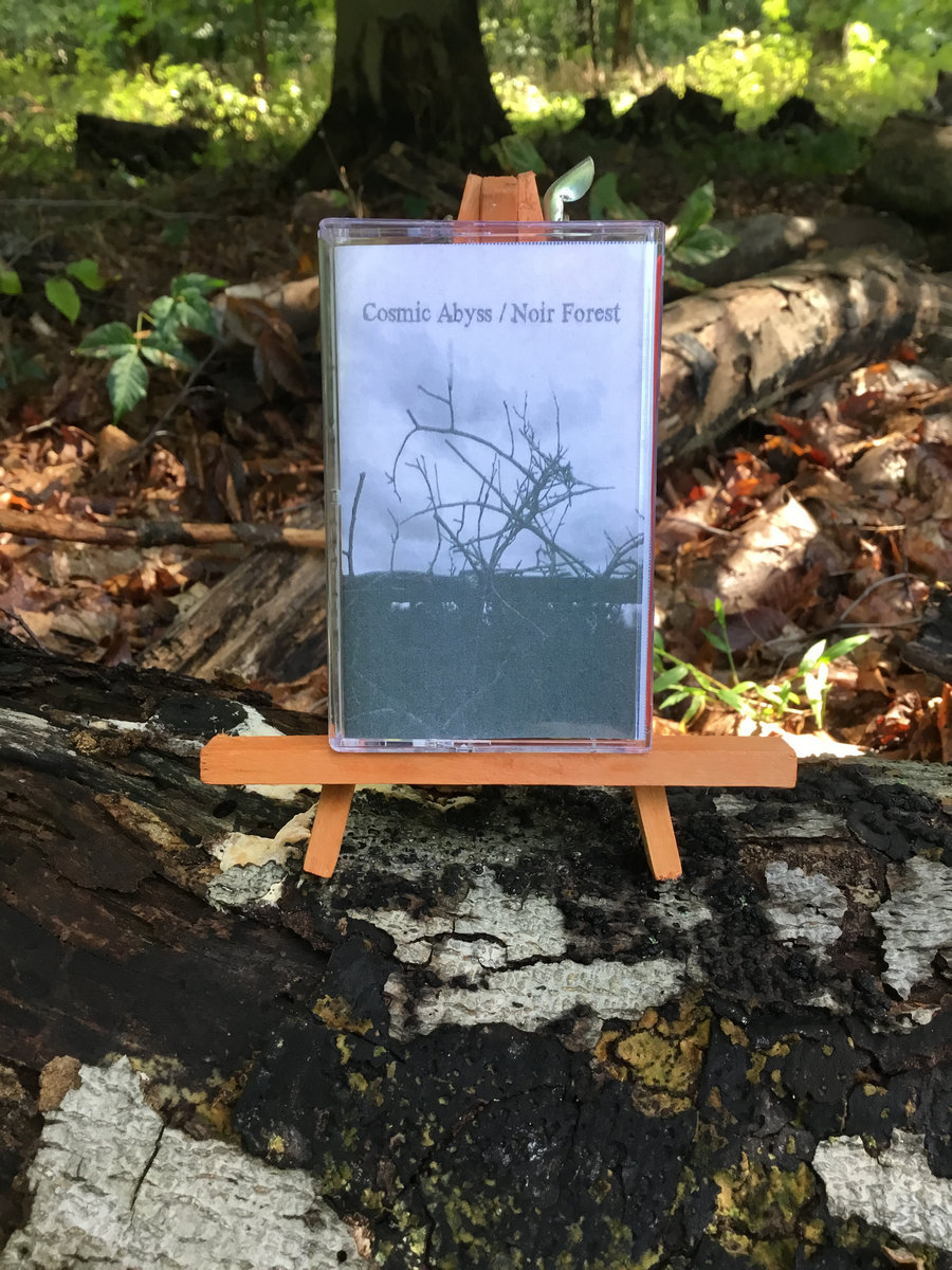 Cosmic Abyss / Noir Forest Split | Noir Forest