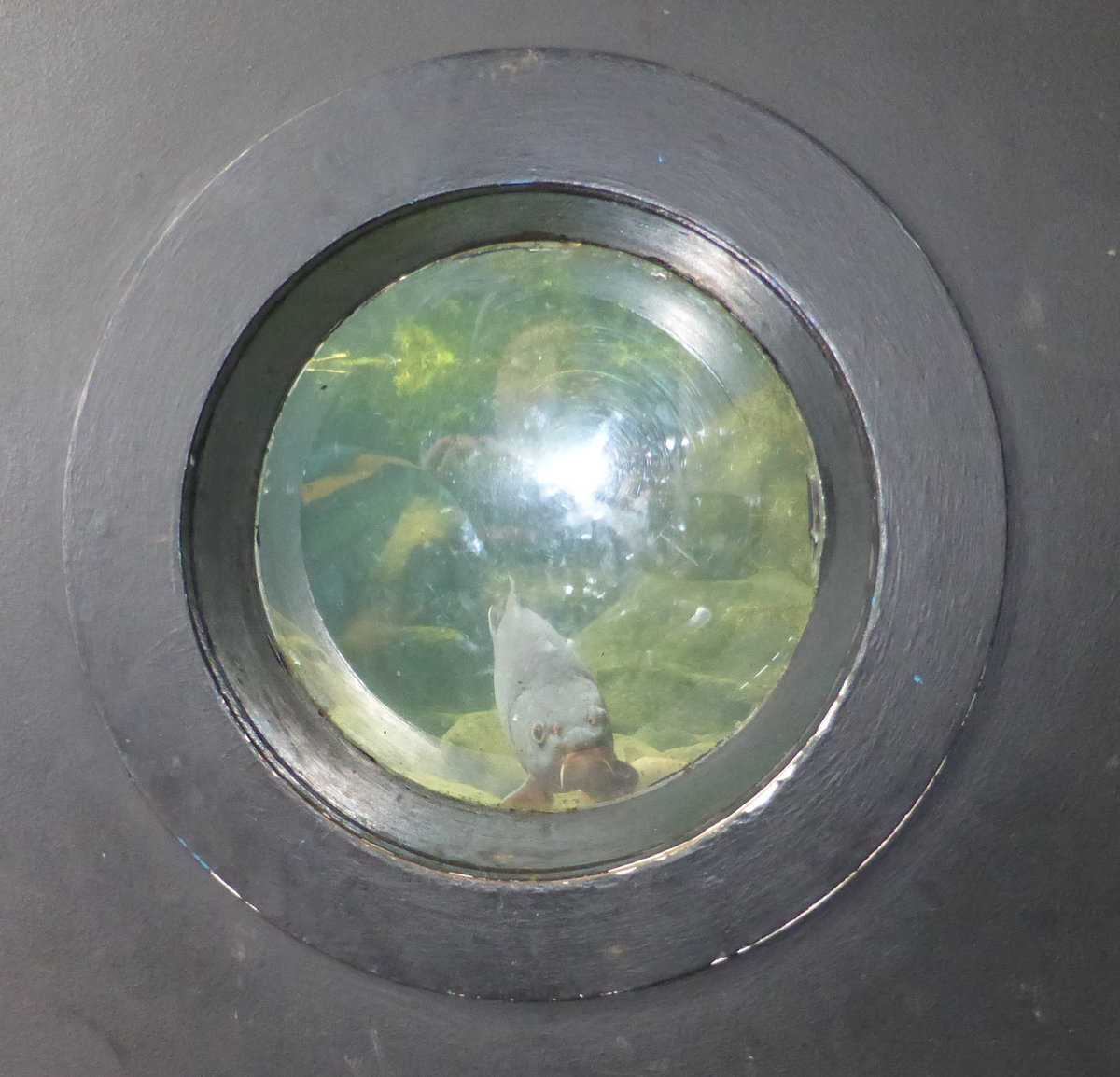 TBWCBN | TH Etherton