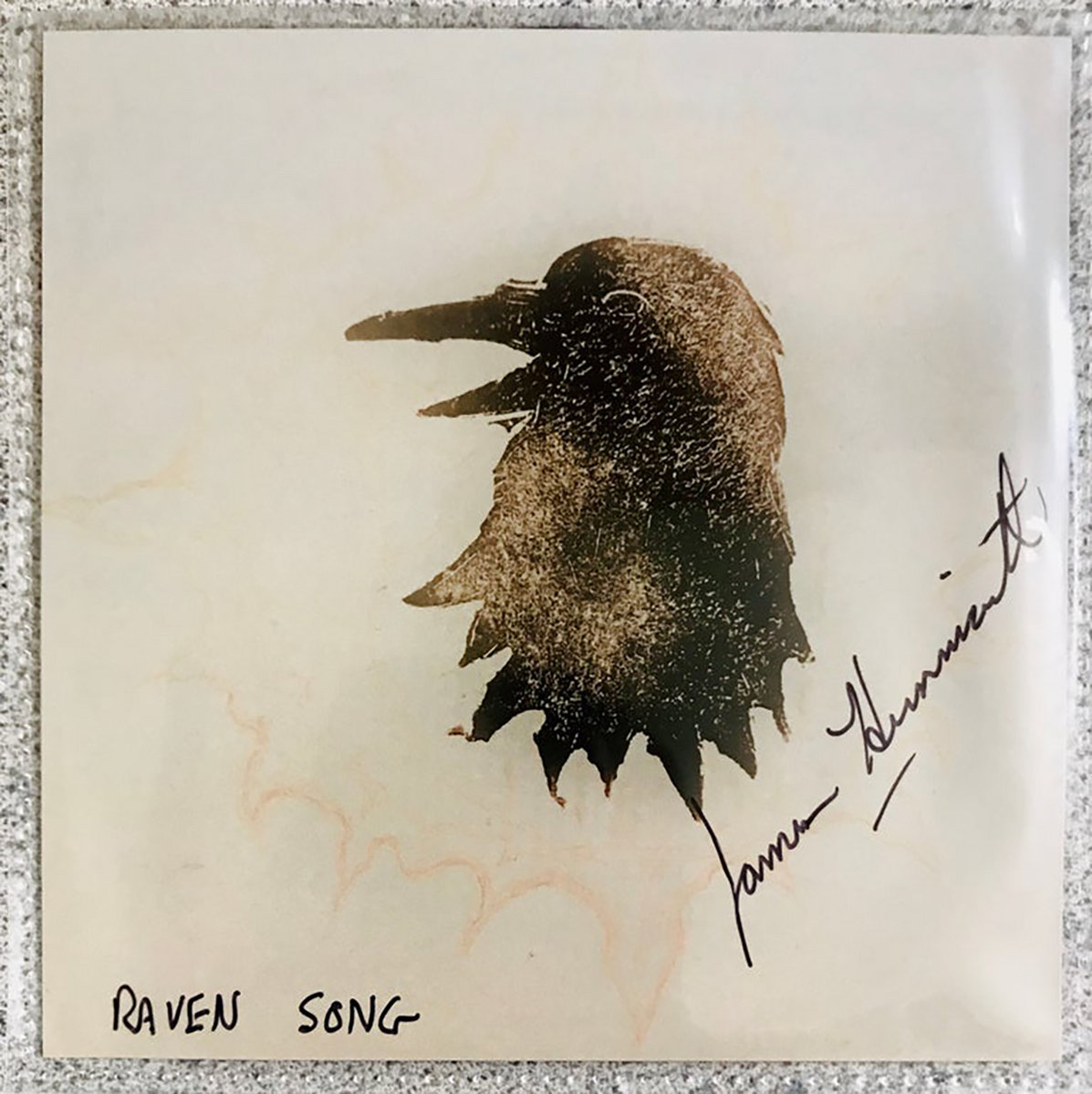 Raven Song | James Hunnicutt