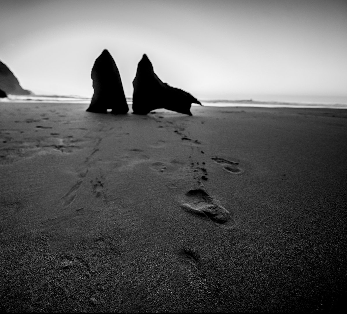 Portrait of the Devil | Lord Sin