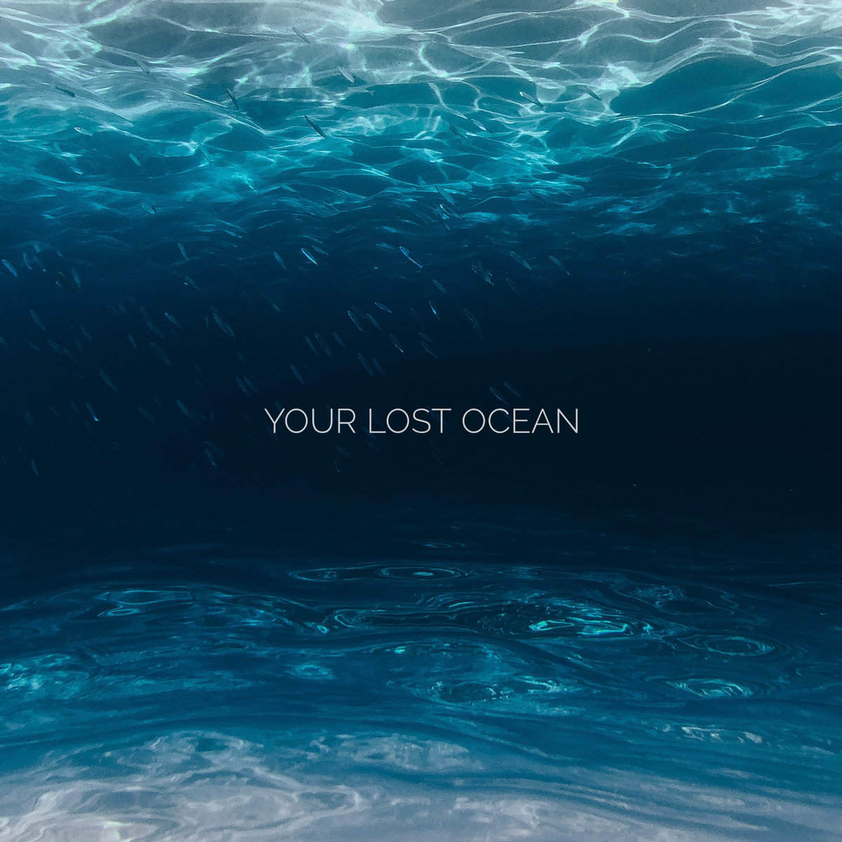 Lifetime | Your Lost Ocean