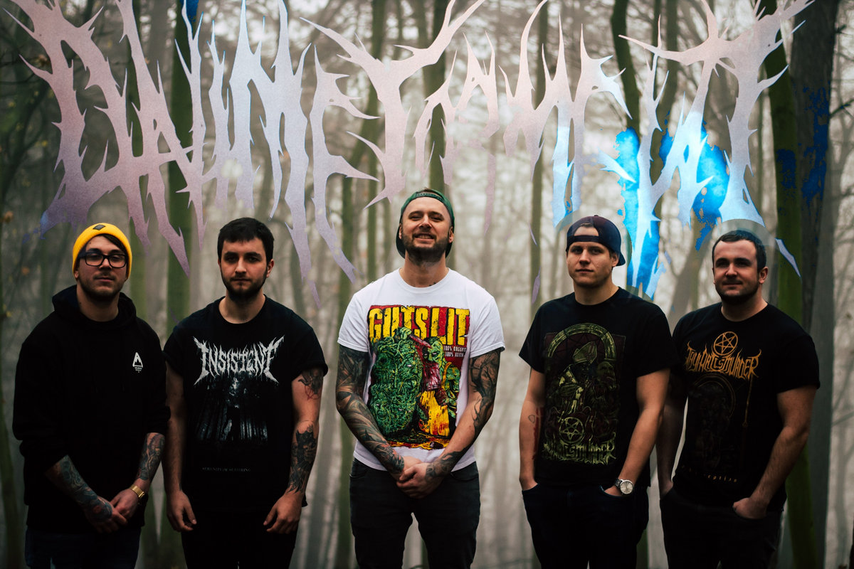 Void Terror | ANIME TORMENT