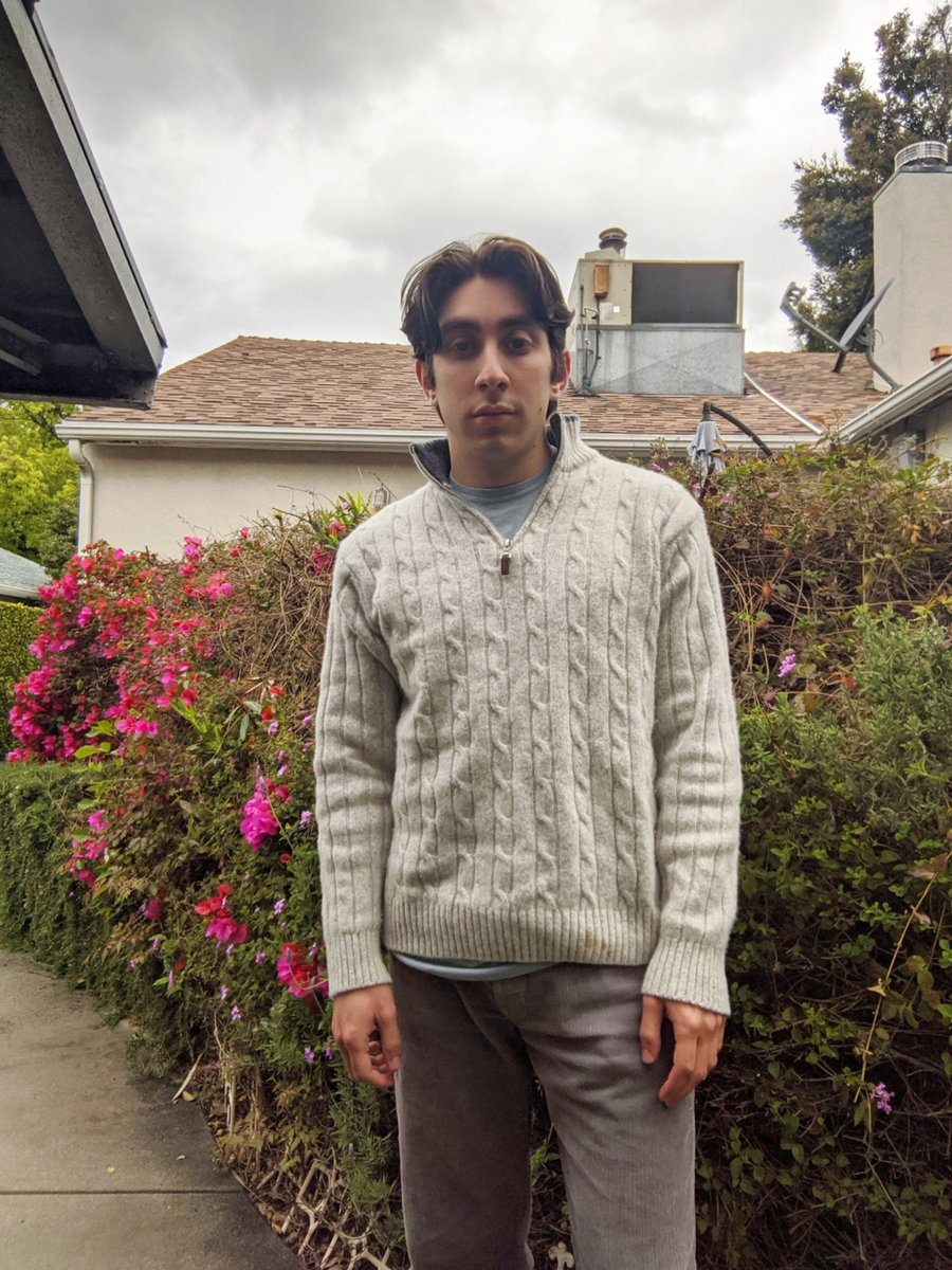 Sad Tiger | Oren Pine