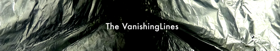 No Replacement Found | VanishingLines