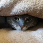 The Bywater Sessions | Jon Cleary